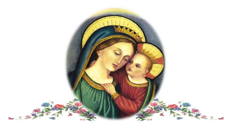 Novena to Our Lady of Good Counsel | Sisters of the Divine Compassion
